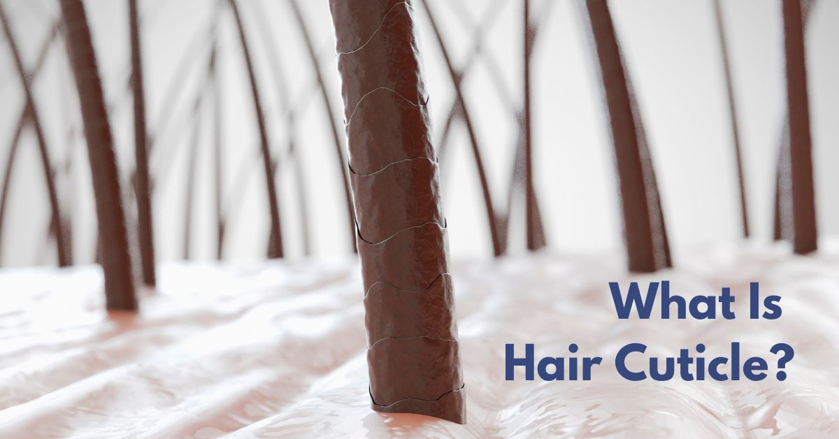 What is Hair Cuticle? A Comprehensive Guide – Blissy - Australia